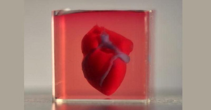 El poder de la bioingeniería para regenerar corazones infartados ...