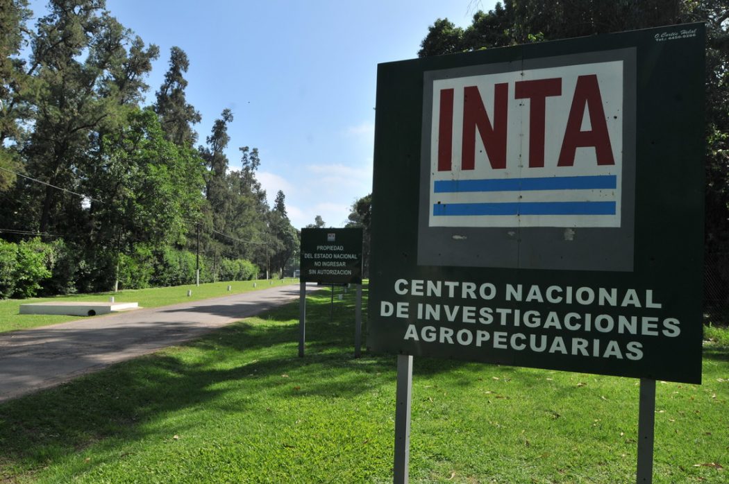 Investigadores de INTA descubren bactería que podría utilizarse para ...