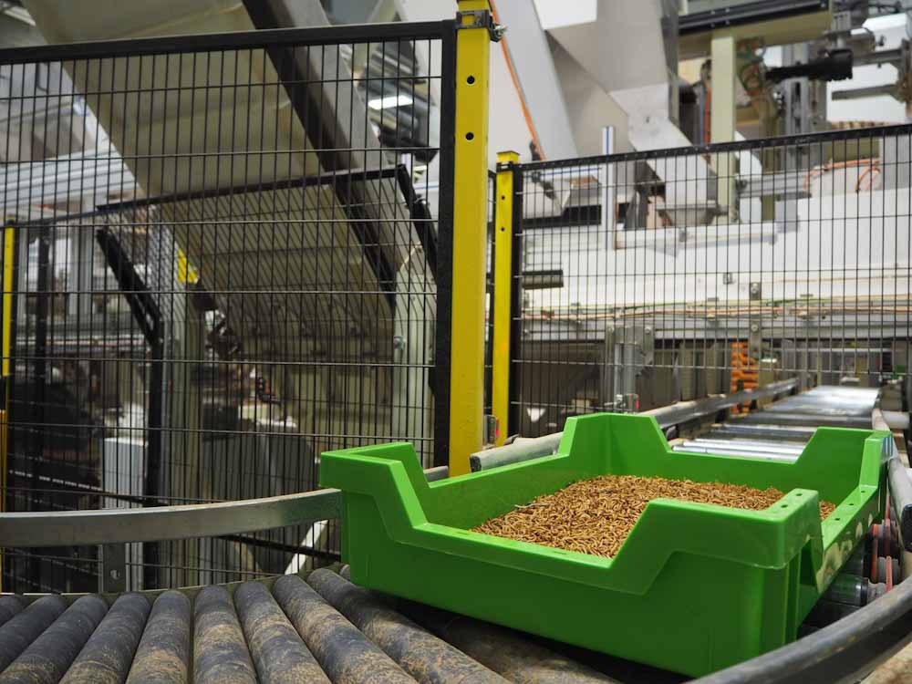 U$S 372 millones adicionales para construir la granja de proteínas de ...