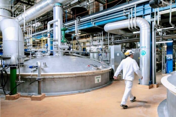 Biotecnología aplicada: cómo está revolucionando la forma en que ...