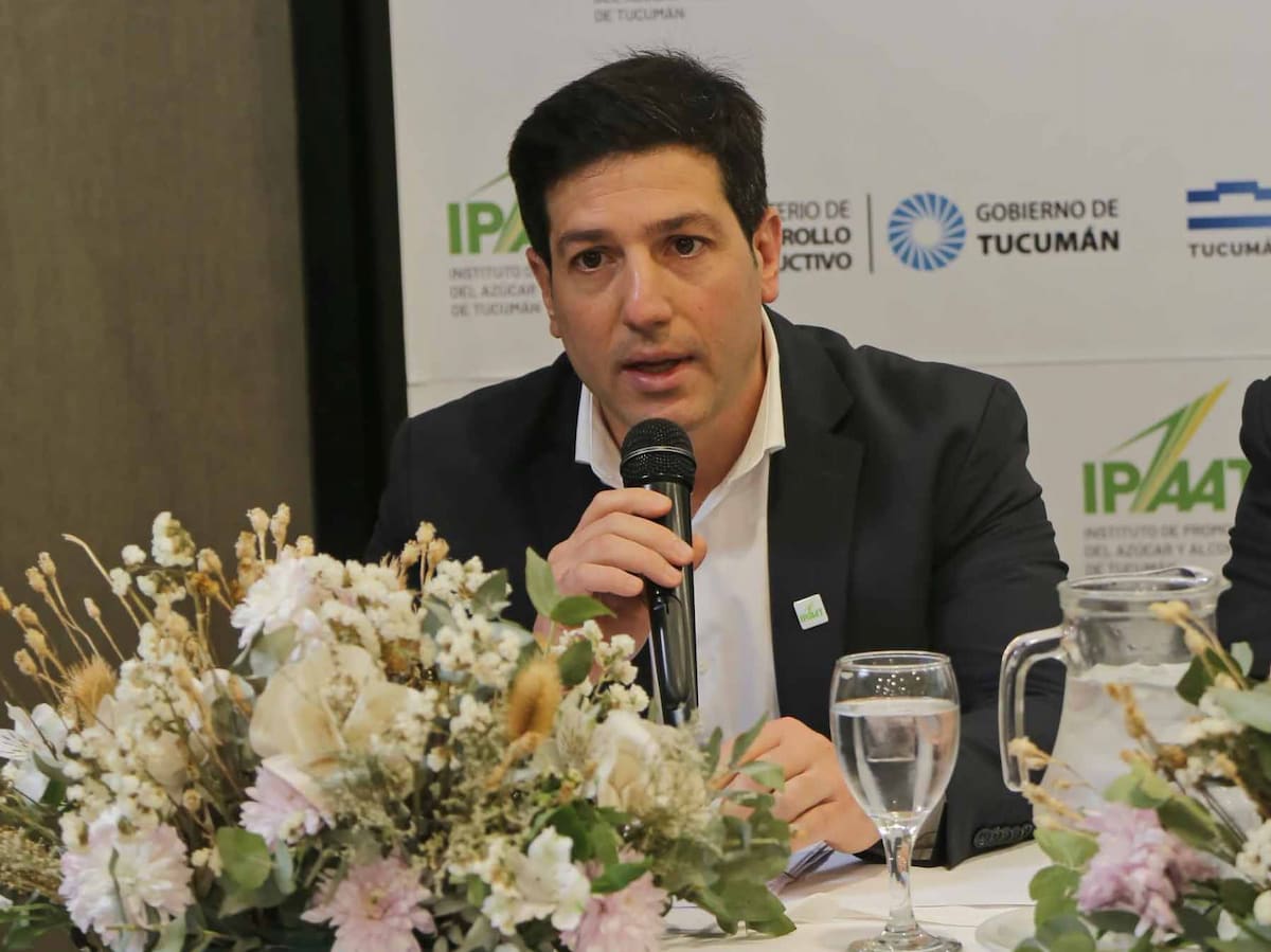 IPAAT impulsa bioetanol y ordena la caña en Tucumán - BioEconomia.info