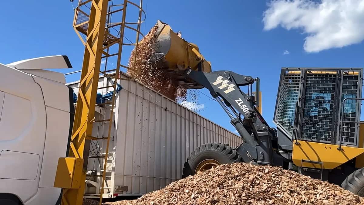 Paraguay elegido para proyecto pionero de pirólisis de biomasa forestal ...
